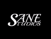 www.shopsanestudio.com – Sane Studio